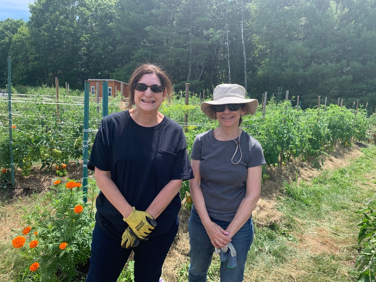 How Syniti’s Global Workforce Gives Back