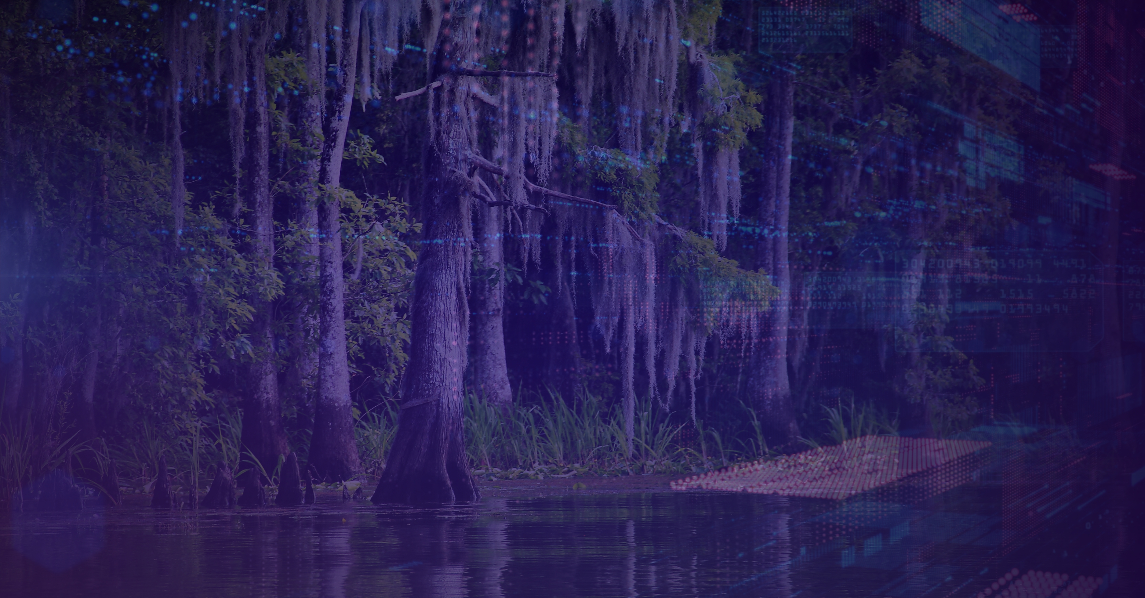 Saying No to Data Swamps: How to Protect Your Data Lakes